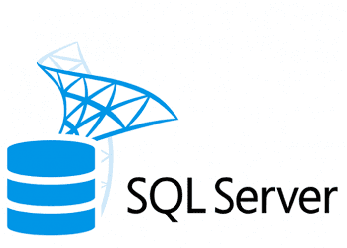 Auto Parameterization در SQL Server چیست؟ - مشاوره و آموزش دیتابیس SQL Server